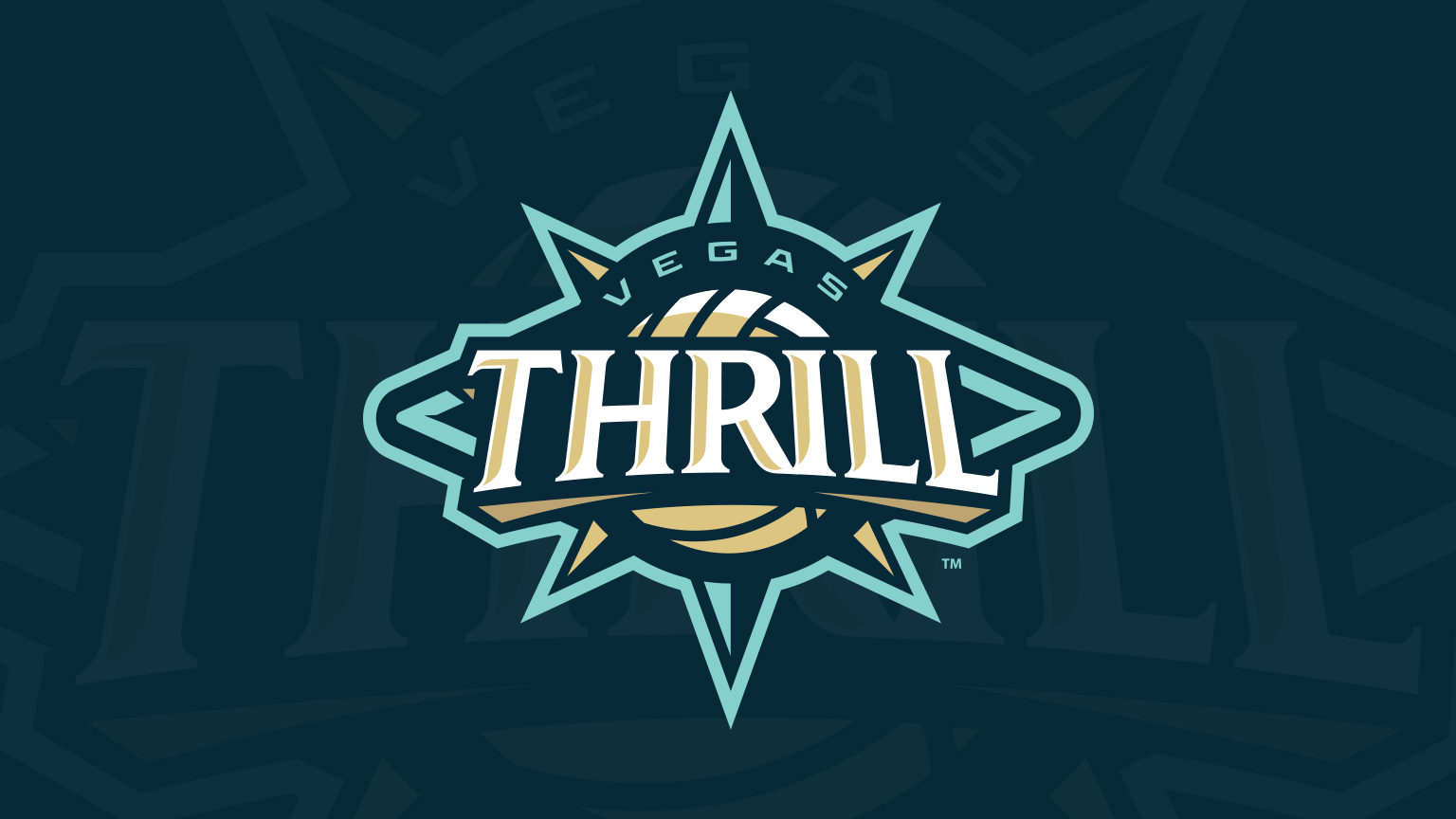 The Thrill Arrives In Las Vegas! Vegas Pro Volleyball Announces Team ...